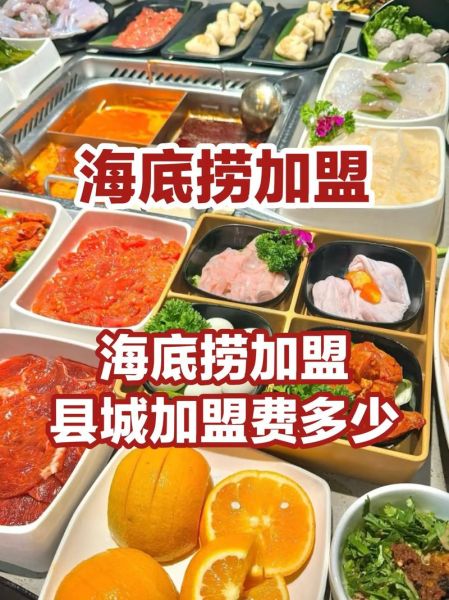 海底捞加盟费多少钱_海底捞加盟条件-第1张图片-山城妙识 海底捞加盟费多少钱_海底捞加盟条件-第1张图片-山城妙识