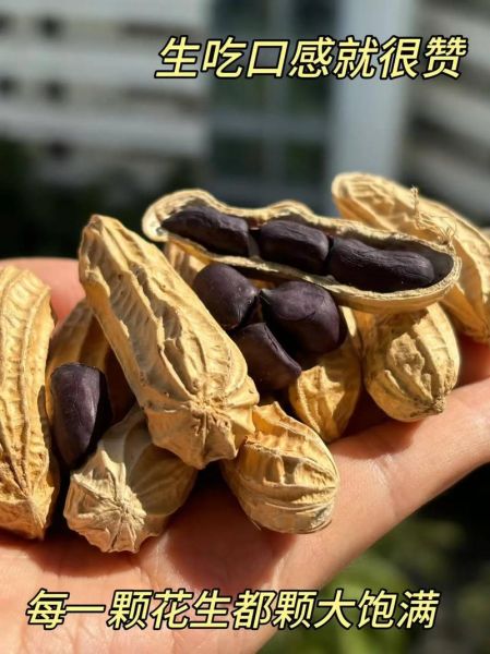 黑花生多少钱一斤_黑花生价格行情-第3张图片-山城妙识 黑花生多少钱一斤_黑花生价格行情-第3张图片-山城妙识