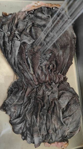 牛百叶是什么颜色_新鲜牛百叶颜色辨别方法-第3张图片-山城妙识