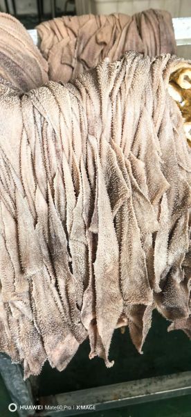 牛百叶是什么颜色_新鲜牛百叶颜色辨别方法-第1张图片-山城妙识