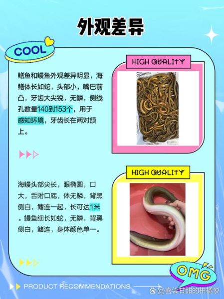 鳗鲡是什么鱼_鳗鲡和鳗鱼的区别-第1张图片-山城妙识