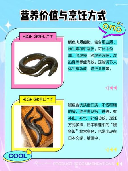 鳗鲡是什么鱼_鳗鲡和鳗鱼的区别-第2张图片-山城妙识