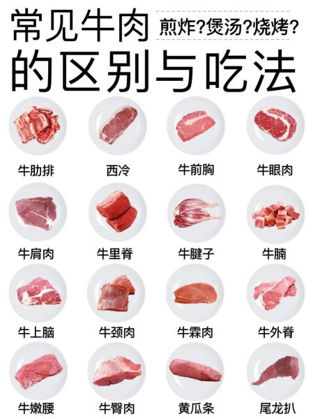 肥牛是牛的哪个部位_肥牛和肥瘦比例关系-第3张图片-山城妙识