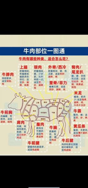 肥牛是牛的哪个部位_肥牛和肥瘦比例关系-第2张图片-山城妙识