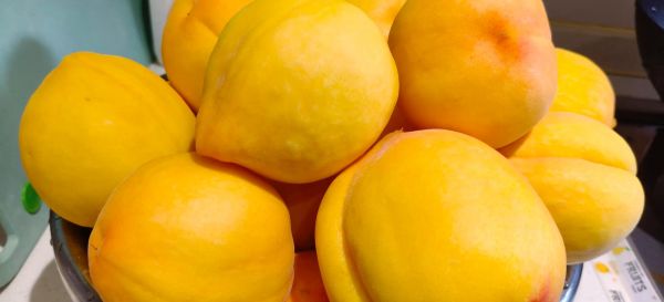 自制黄桃罐头多久能吃_黄桃罐头保存多久-第3张图片-山城妙识