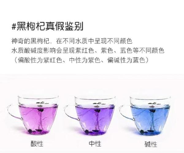 黑枸杞泡水后什么颜色_真假怎么分辨-第2张图片-山城妙识