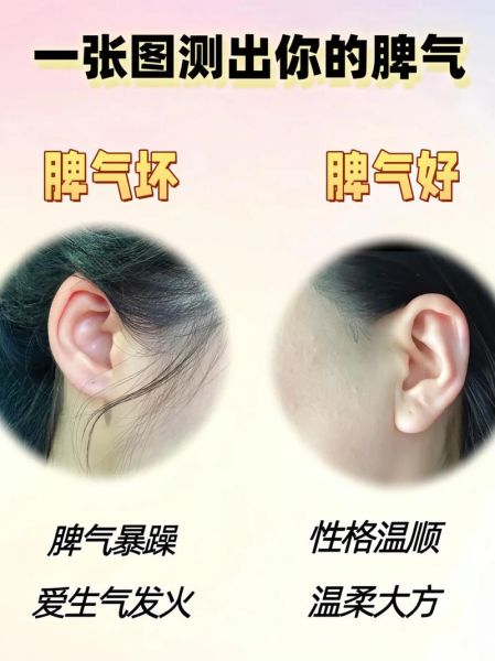 好不好_如何判断好不好-第1张图片-山城妙识