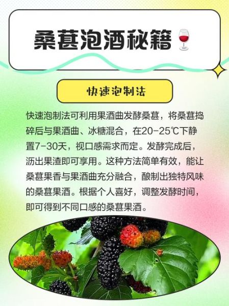 桑葚泡酒的功效与作用_多长时间见效-第2张图片-山城妙识 桑葚泡酒的功效与作用_多长时间见效-第2张图片-山城妙识