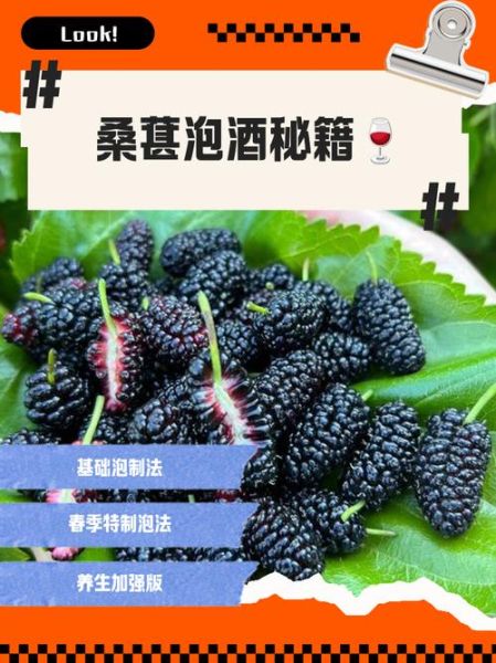 桑葚泡酒的功效与作用_多长时间见效-第3张图片-山城妙识 桑葚泡酒的功效与作用_多长时间见效-第3张图片-山城妙识