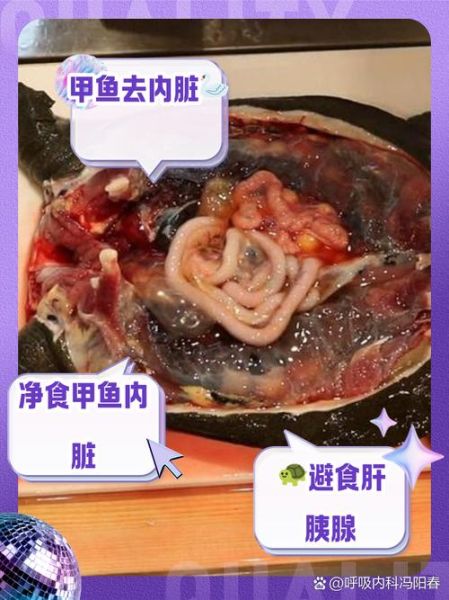 哪些人不能吃甲鱼_吃甲鱼有什么禁忌-第1张图片-山城妙识