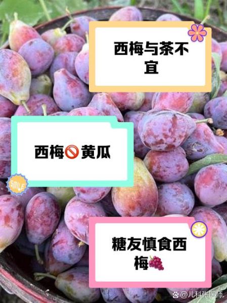 西梅不适合什么人吃_西梅禁忌人群有哪些-第1张图片-山城妙识