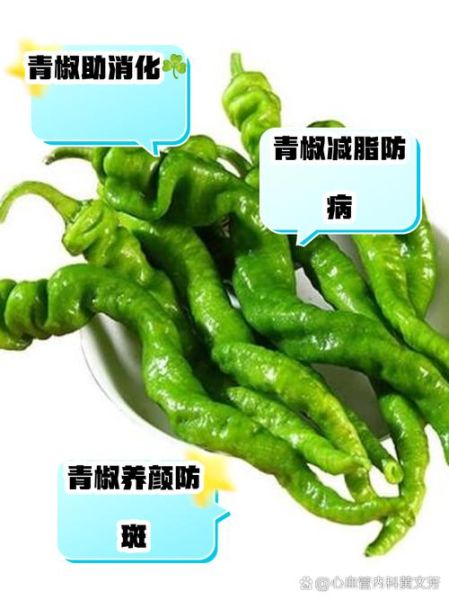 青辣椒的功效与作用_青辣椒能减肥吗-第1张图片-山城妙识