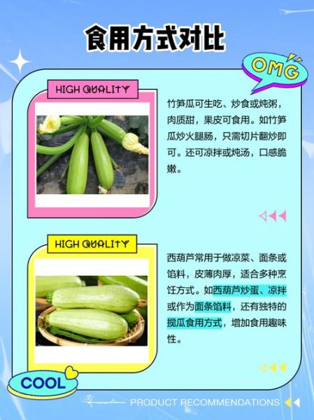 笋瓜和西葫芦的区别_如何一眼分辨-第2张图片-山城妙识