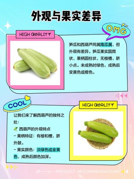 笋瓜和西葫芦的区别_如何一眼分辨-第1张图片-山城妙识