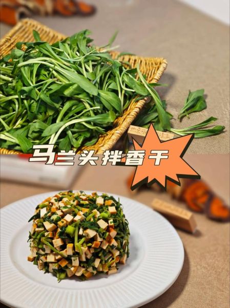 香干炒马兰头怎么做_香干炒马兰头要焯水吗-第1张图片-山城妙识