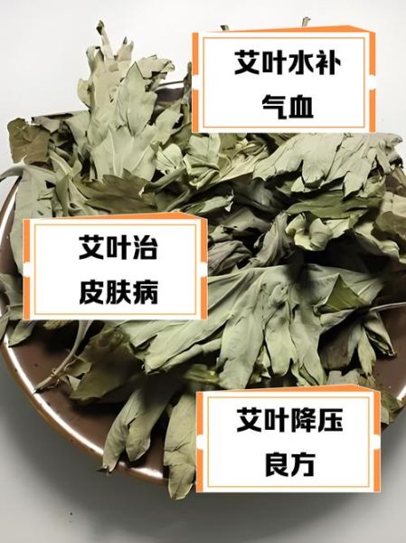 晒干的艾叶能泡水喝吗_艾叶泡水正确方法-第2张图片-山城妙识 晒干的艾叶能泡水喝吗_艾叶泡水正确方法-第2张图片-山城妙识