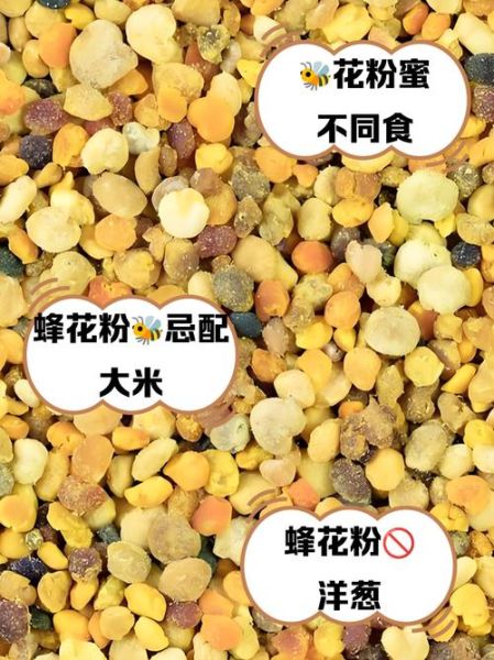 蜂花粉的作用与功效及食用方法_蜂花粉一天吃多少合适-第3张图片-山城妙识 蜂花粉的作用与功效及食用方法_蜂花粉一天吃多少合适-第3张图片-山城妙识
