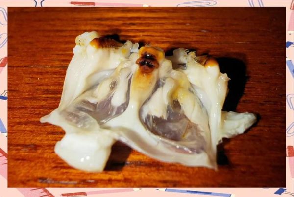 螃蟹怎么吃出法海图解_法海蟹黄怎么取图解-第1张图片-山城妙识 螃蟹怎么吃出法海图解_法海蟹黄怎么取图解-第1张图片-山城妙识