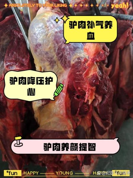 驴肉的功效与禁忌_什么人不能吃驴肉-第2张图片-山城妙识