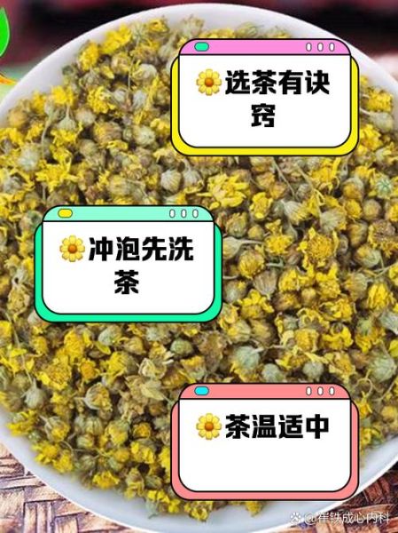 菊花茶怎么泡_菊花茶制作方法-第2张图片-山城妙识