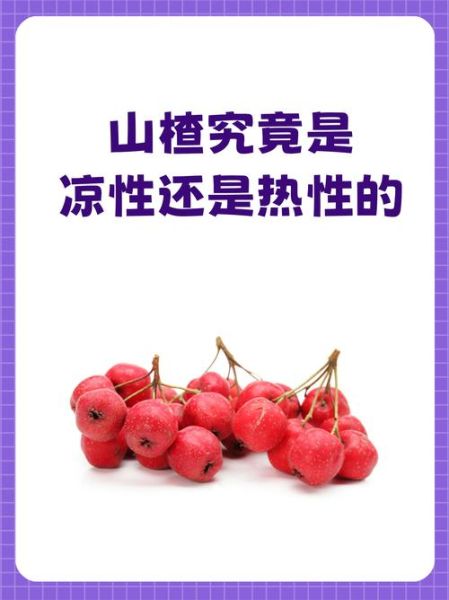 山楂是热性还是凉性_山楂上火还是降火-第1张图片-山城妙识