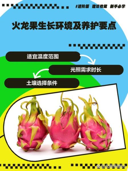 火龙果怎么种植_火龙果后期养护要注意什么-第1张图片-山城妙识