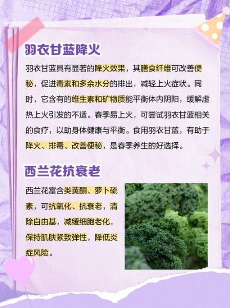 哪些蔬菜去火效果好_怎么吃最降火-第3张图片-山城妙识 哪些蔬菜去火效果好_怎么吃最降火-第3张图片-山城妙识