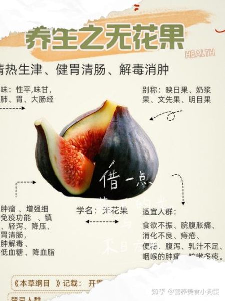 无花果吃了有什么好处_无花果的功效与作用-第3张图片-山城妙识 无花果吃了有什么好处_无花果的功效与作用-第3张图片-山城妙识