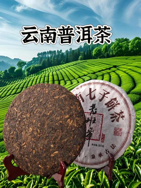 普洱茶哪个牌子好_普洱茶怎么选-第3张图片-山城妙识