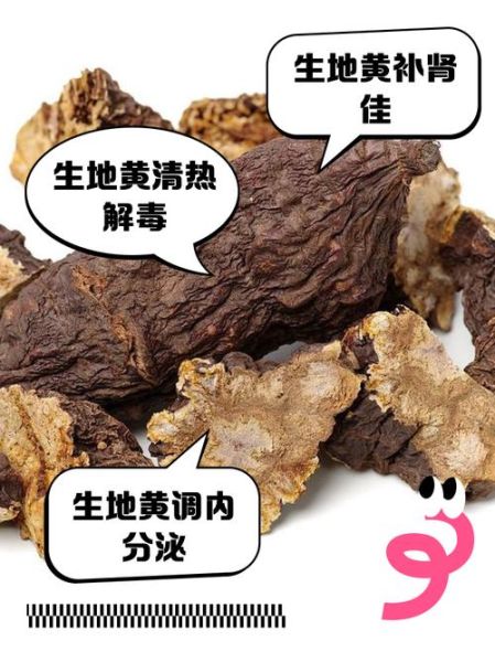 生地的功效与作用及食用方法_生地的正确吃法-第2张图片-山城妙识
