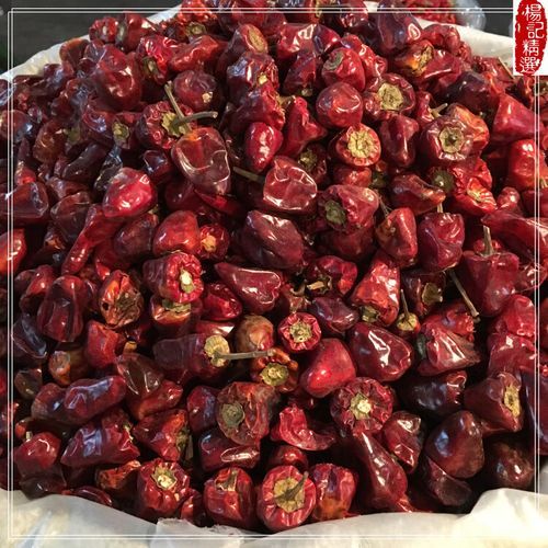 灯笼椒辣不辣_灯笼椒香不香-第1张图片-山城妙识