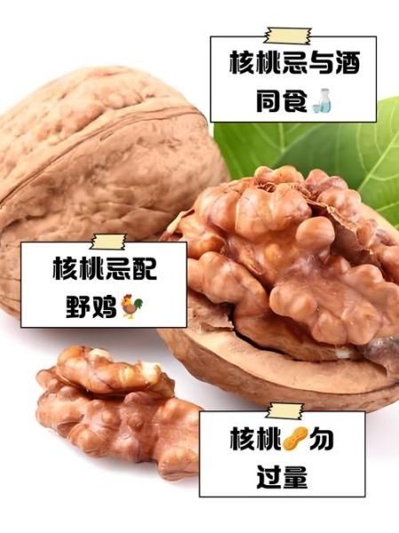 小山核桃的功效与作用_小山核桃的禁忌有哪些-第3张图片-山城妙识