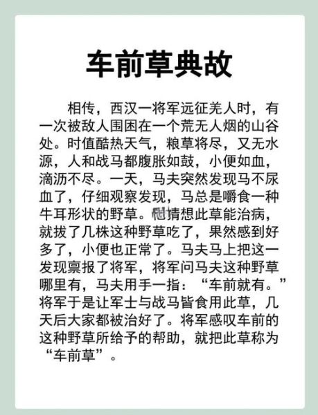 车前草治疗痛风有效吗_车前草降尿酸的正确用法-第1张图片-山城妙识 车前草治疗痛风有效吗_车前草降尿酸的正确用法-第1张图片-山城妙识