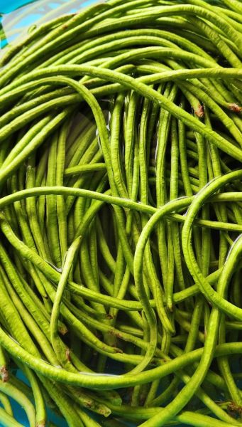 湖南酸豆角怎么腌制_湖南酸豆角腌制多久能吃-第3张图片-山城妙识