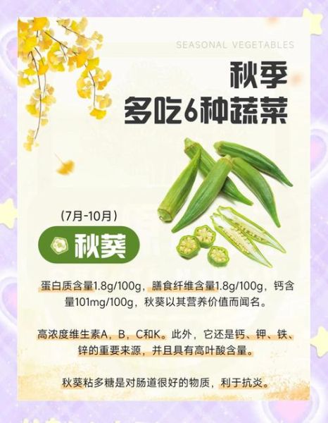 秋天吃什么蔬菜好_秋季养生蔬菜推荐-第1张图片-山城妙识