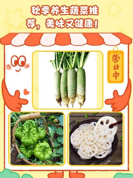 秋天吃什么蔬菜好_秋季养生蔬菜推荐-第3张图片-山城妙识
