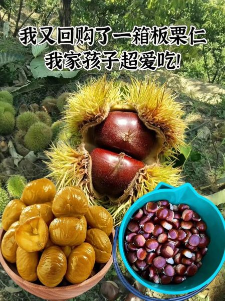 栗子一次吃多少合适_吃栗子会上火吗-第2张图片-山城妙识