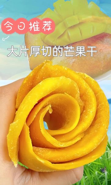 芒果干怎么做_家庭自制芒果干要多久-第1张图片-山城妙识