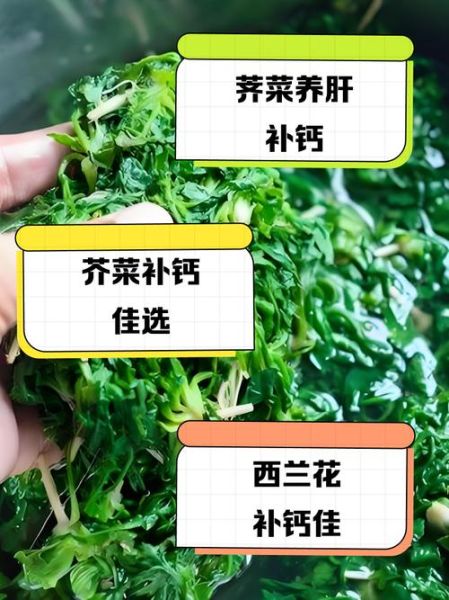 补钙的食物和蔬菜有哪些_哪些蔬菜含钙高-第2张图片-山城妙识