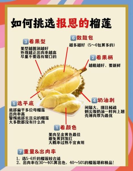 榴莲图片_榴莲怎么挑-第1张图片-山城妙识