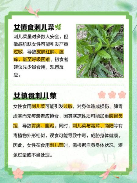 刺儿菜怎么吃_刺儿菜的做法大全-第3张图片-山城妙识
