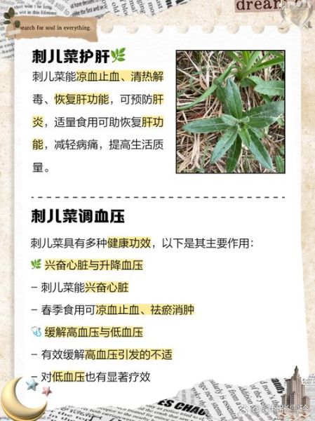 刺儿菜怎么吃_刺儿菜的做法大全-第2张图片-山城妙识