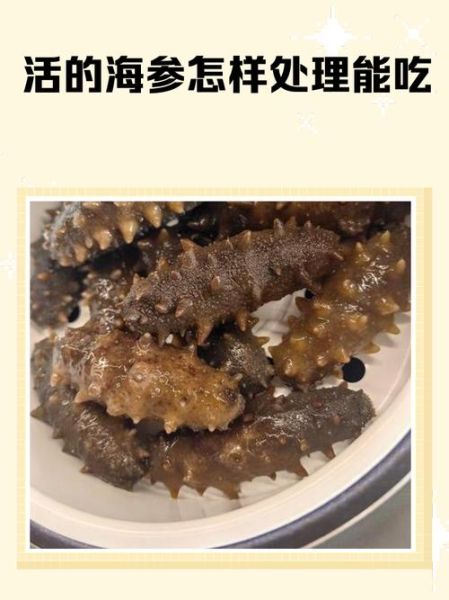 鲜海参怎么处理_鲜海参最简单的处理方法-第3张图片-山城妙识