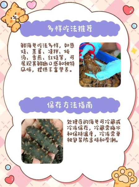 鲜海参怎么处理_鲜海参最简单的处理方法-第1张图片-山城妙识