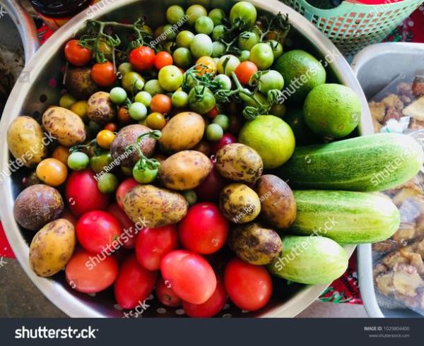 how_to_store_vegetables_longer_what_are_the_best_vegetables_for_salads-第1张图片-山城妙识 how_to_store_vegetables_longer_what_are_the_best_vegetables_for_salads-第1张图片-山城妙识