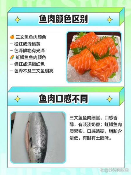 虹鳟鱼是三文鱼吗_虹鳟鱼和三文鱼区别-第3张图片-山城妙识