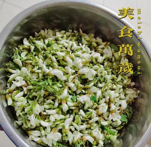 洋槐花怎么吃_洋槐花的功效与作用-第3张图片-山城妙识
