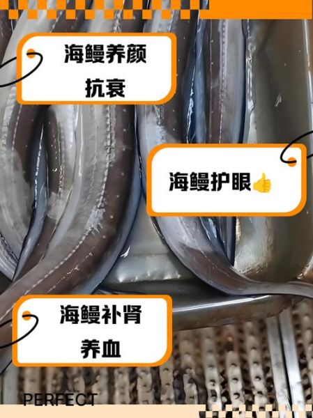 海鳗鱼的功效与禁忌_什么人不能吃-第2张图片-山城妙识 海鳗鱼的功效与禁忌_什么人不能吃-第2张图片-山城妙识