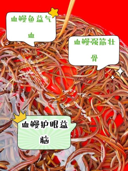 海鳗鱼的功效与禁忌_什么人不能吃-第3张图片-山城妙识 海鳗鱼的功效与禁忌_什么人不能吃-第3张图片-山城妙识