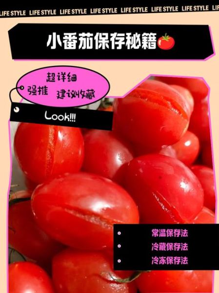小番茄怎么保存_小番茄可以放多久-第1张图片-山城妙识 小番茄怎么保存_小番茄可以放多久-第1张图片-山城妙识